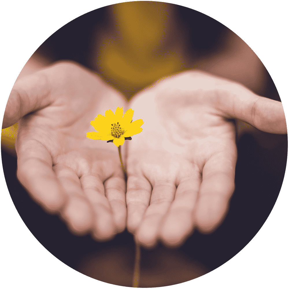 Faire un don - Église Protestante Évangélique Libre de Lyon